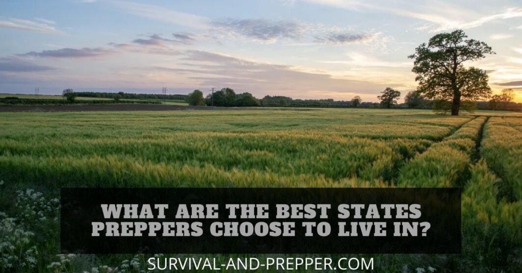 Prepper Shelter-Which style is right for you? - Survival And Prepper